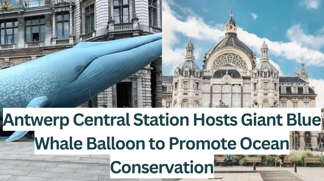 Antwerp Central Station Hosts Giant Blue Whale Balloon to Promote Ocean ...