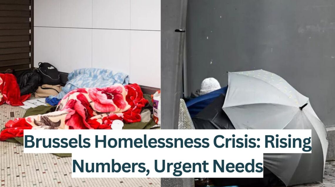 Brussels Homelessness Crisis: Rising Numbers, Urgent Needs - Brussels ...