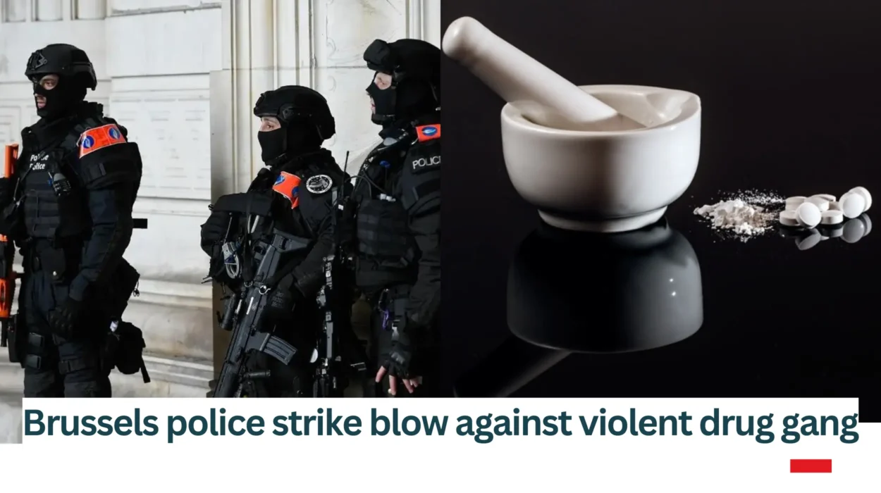 Brussels police strike blow against violent drug gang - Brussels ...